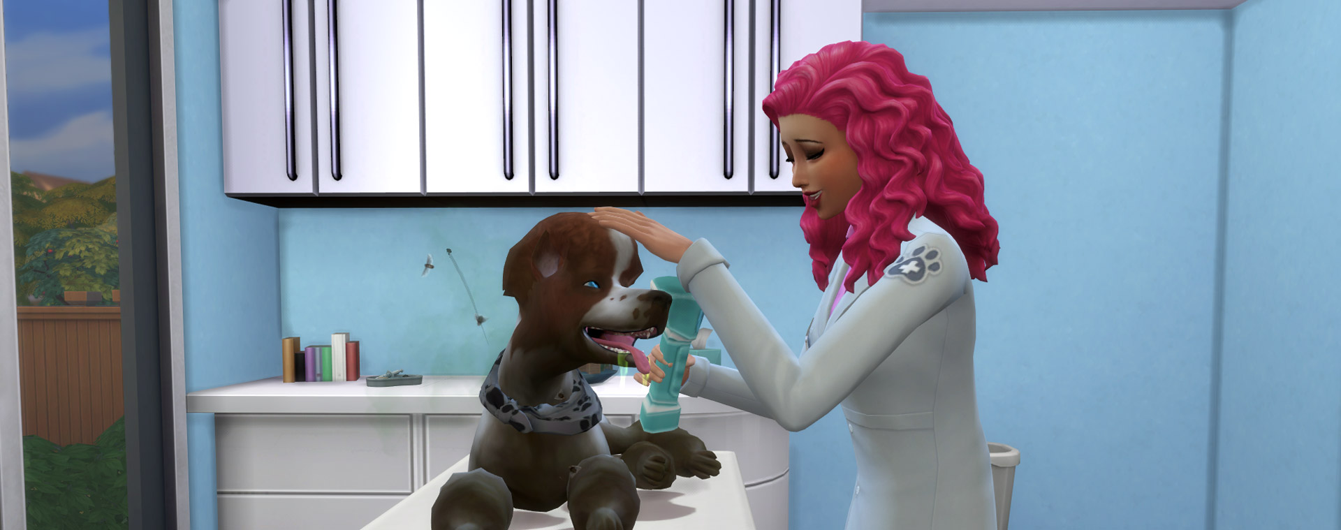Diagnose Pets As A Veterinarian Tool Sims Online Diagnose Pets As A Veterinarian Tool Sims Online